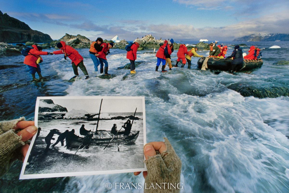 Frans Lanting Studio | News