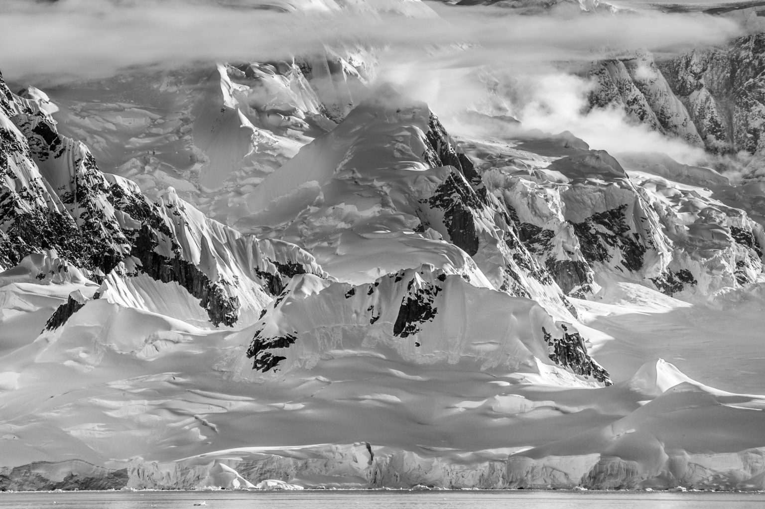 Frans Lanting Studio | Dialogues with Nature