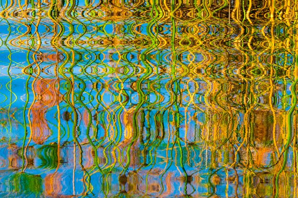 Frans Lanting | Home