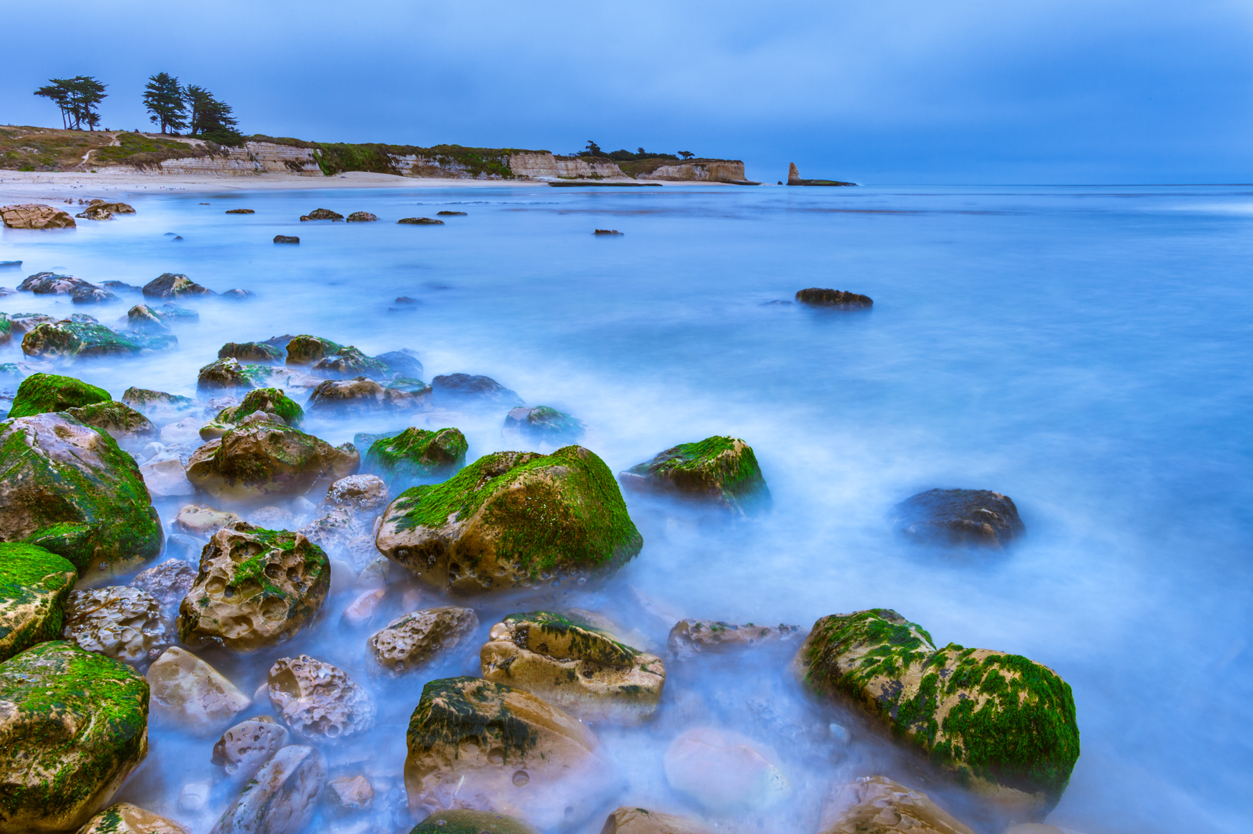 Frans Lanting Studio | Photography Workshops with Frans Lanting