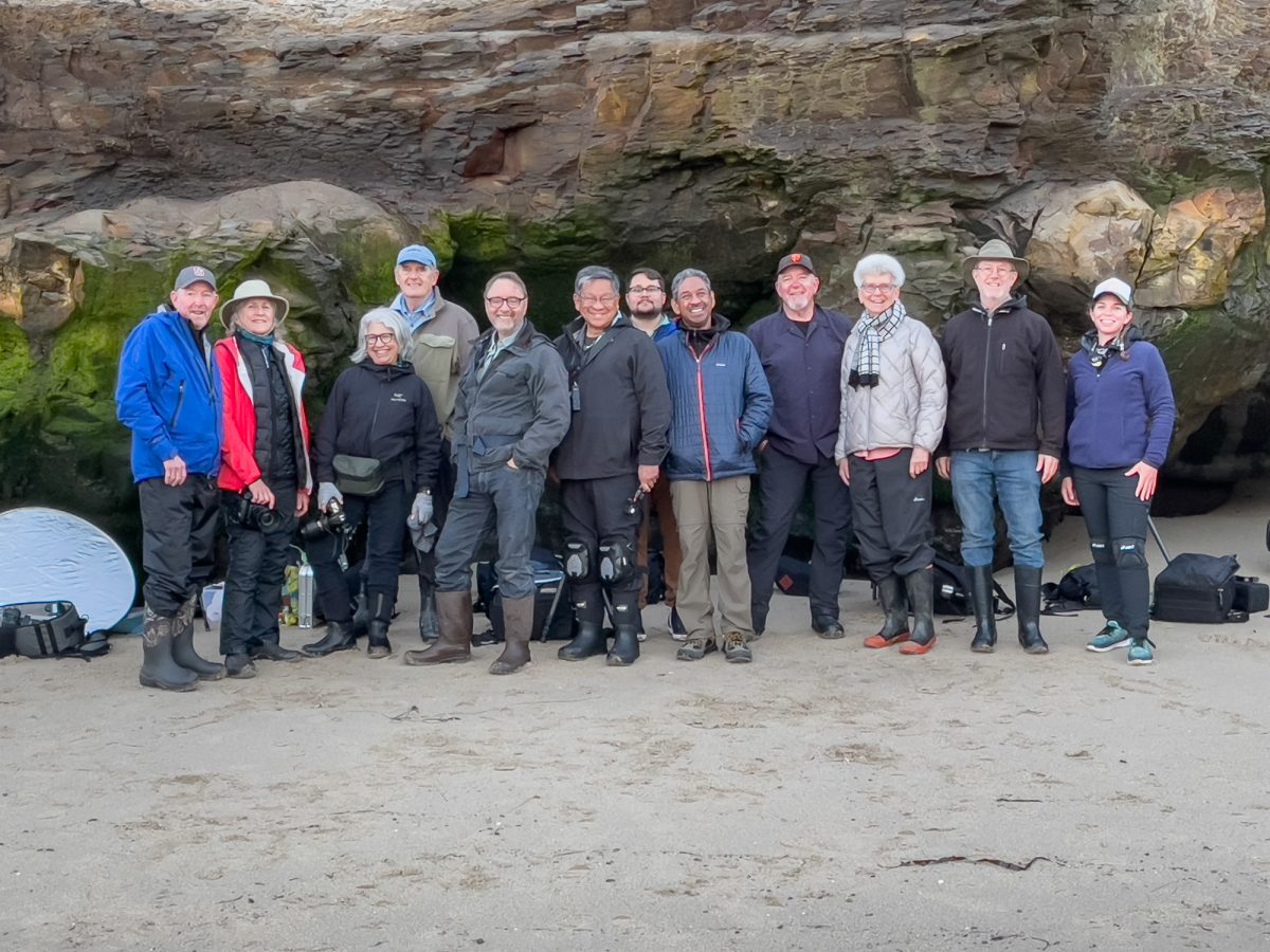 Frans Lanting Studio | News