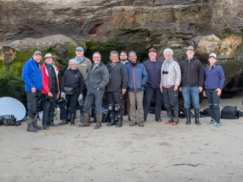 Frans Lanting Studio | News