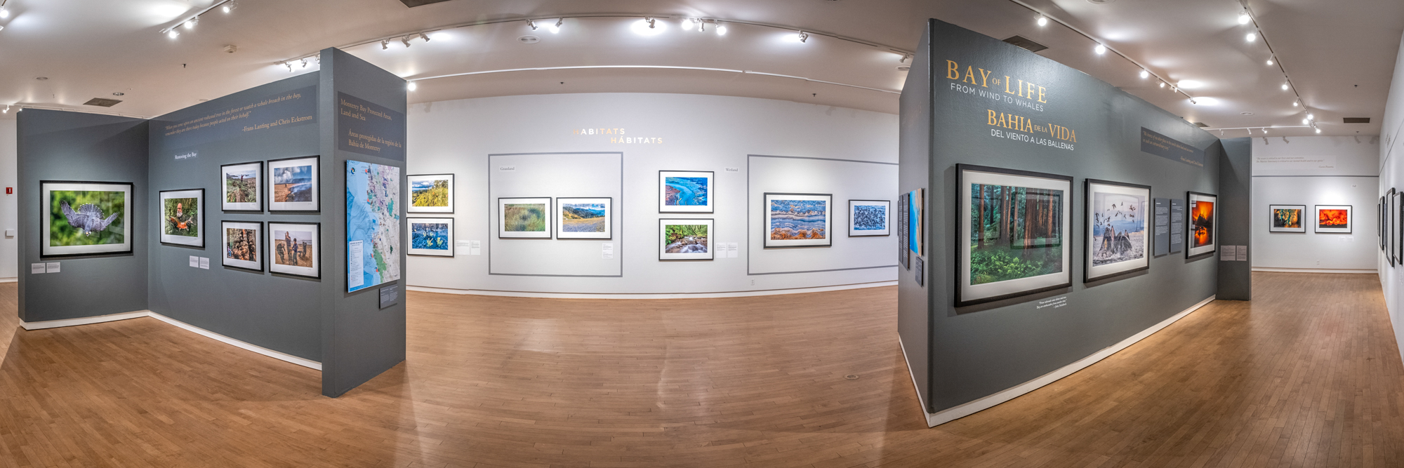 Frans Lanting Studio | About Frans Lanting