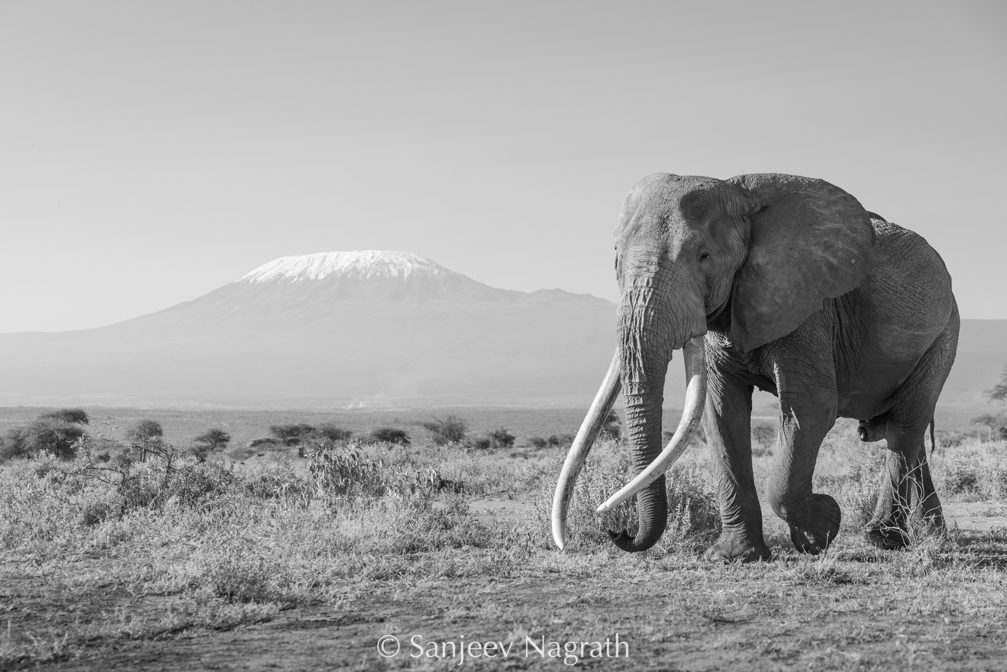 Frans Lanting Studio | Photography Workshops with Frans Lanting