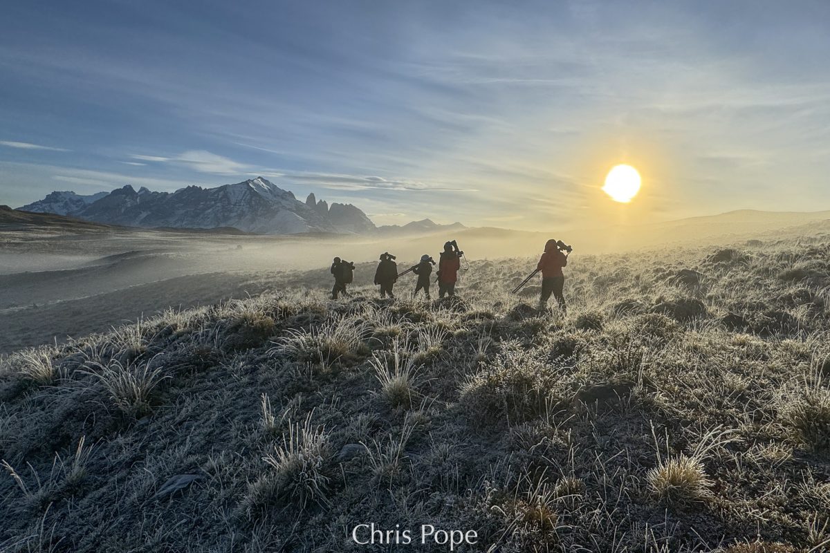 Frans Lanting Studio | News