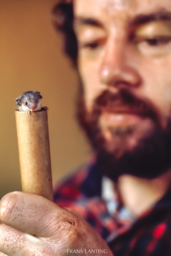 Frans Lanting I Remembering Martin Nicoll