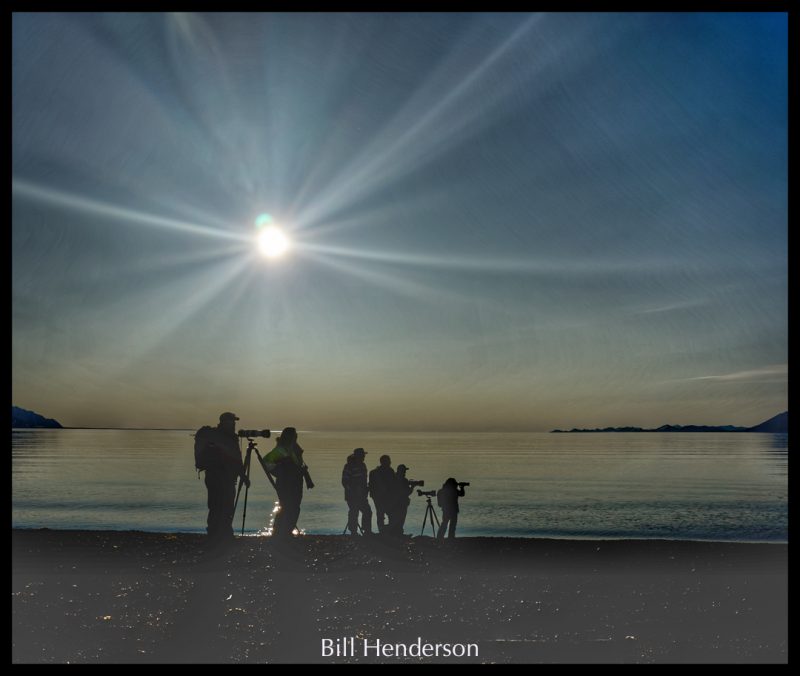 Frans Lanting Photo Tours I Svalbard 2023