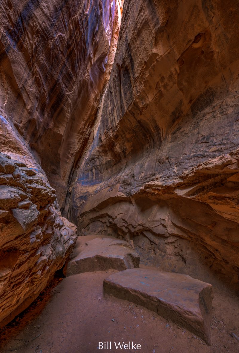 Frans Lanting Photo Tours I Utah 2023