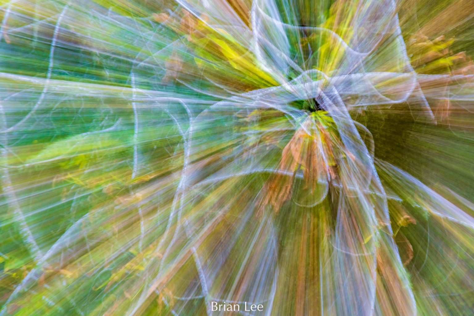 Frans Lanting workshops I Creativity 2023