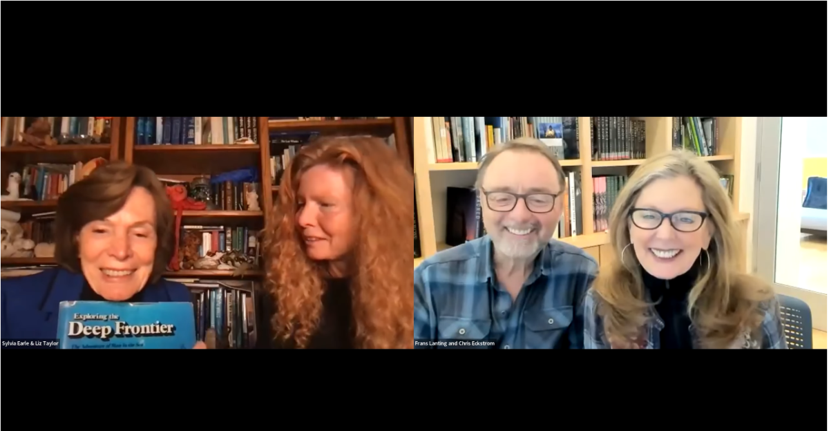 Frans Lanting Studio | News