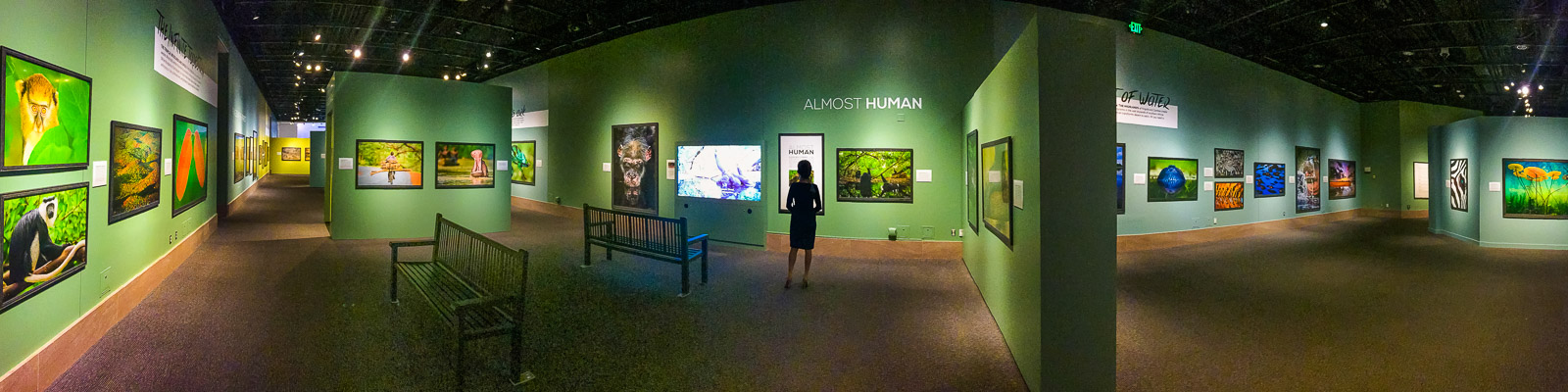 Frans Lanting Studio | About Frans Lanting