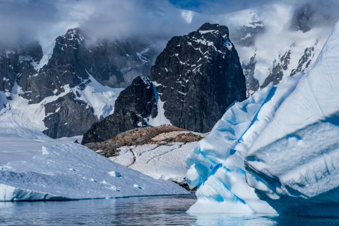 Frans Lanting Studio | Dialogues with Nature