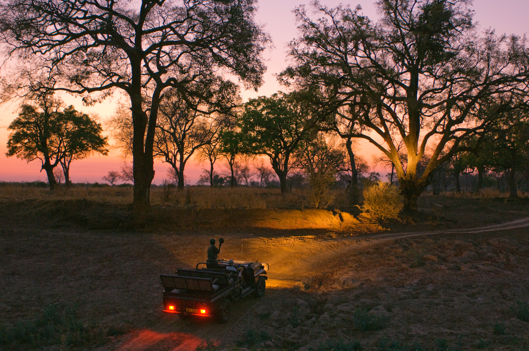 Frans Lanting Studio | Travel & Exclusive Photo Tours