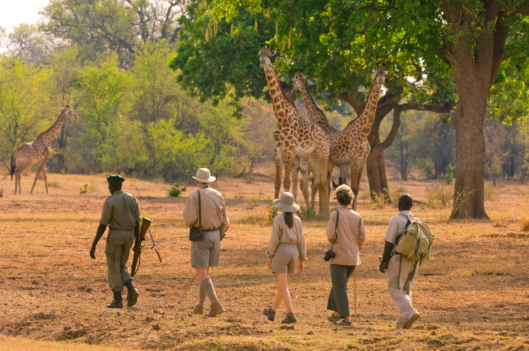 Frans Lanting Studio | Travel & Exclusive Photo Tours