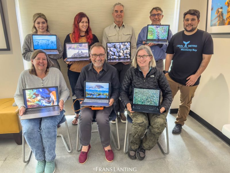 Frans Lanting Studio | News