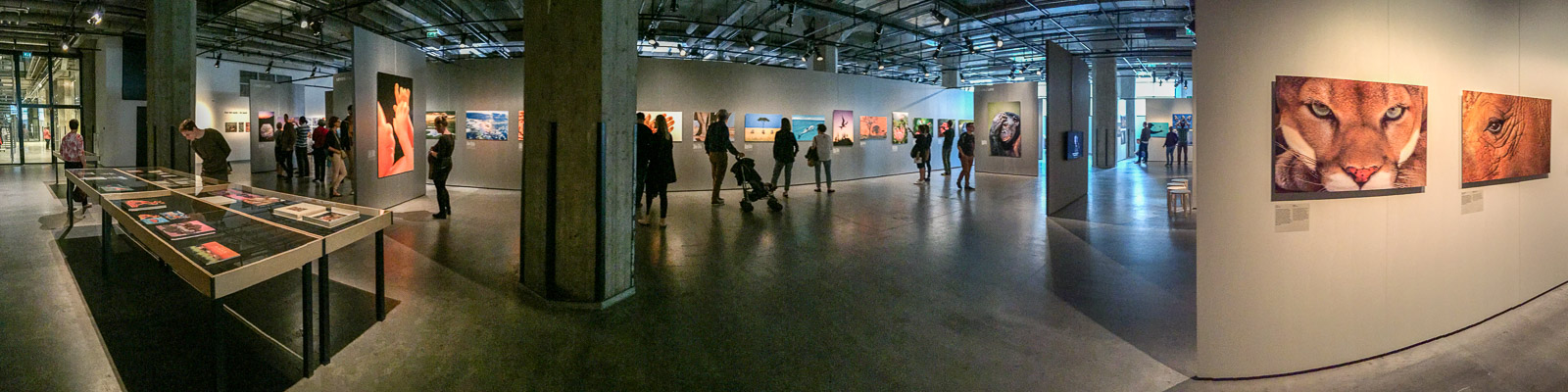 Frans Lanting Studio | Dialogues with Nature