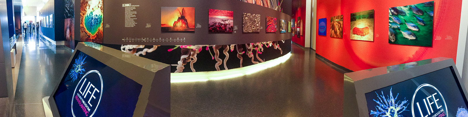 Frans Lanting Studio | LIFE: A Journey Through Time