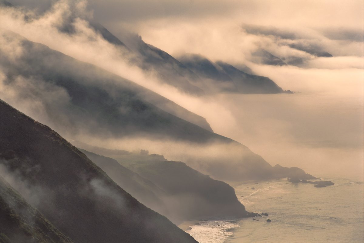 Frans Lanting Studio | The Bay of Life Series