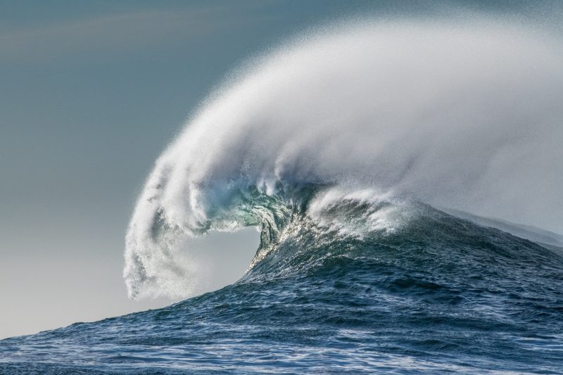 Frans Lanting | Home