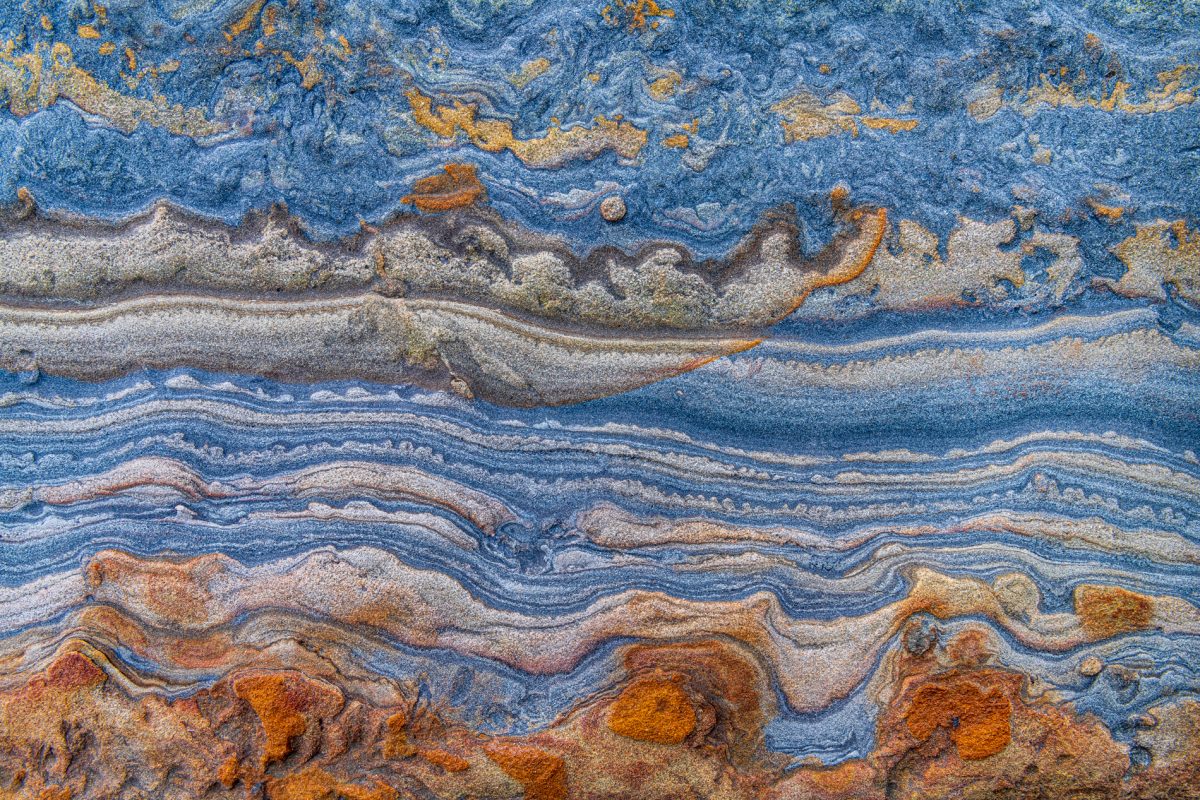 Frans Lanting Studio | The Bay of Life Series