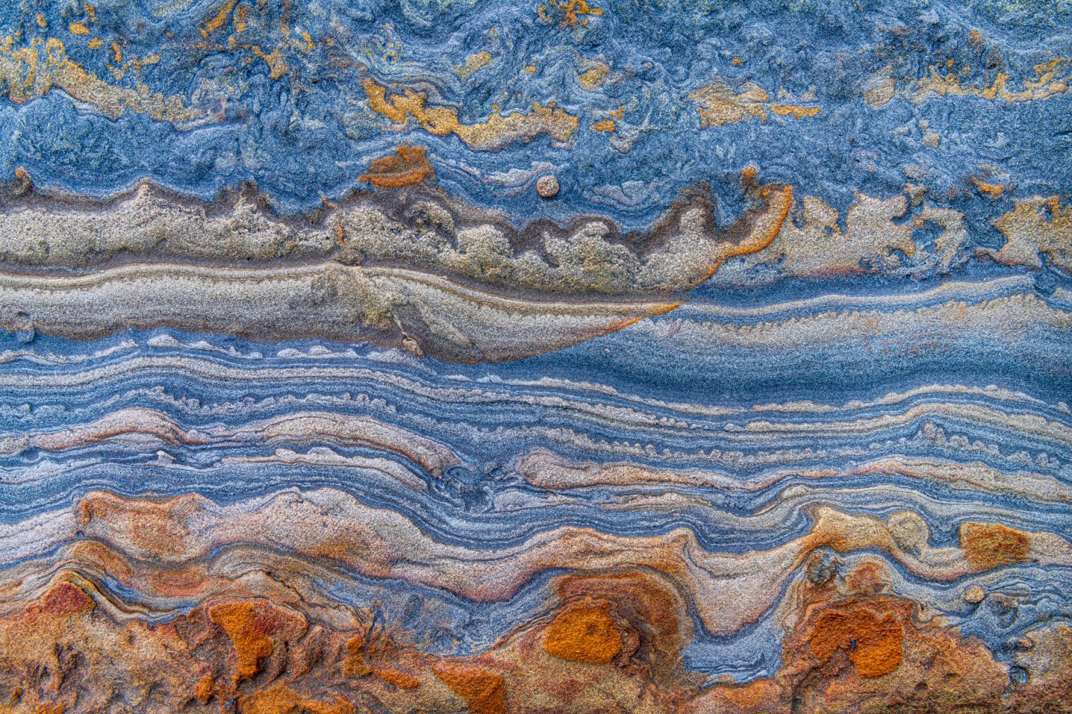 Frans Lanting Studio | The Bay of Life Series