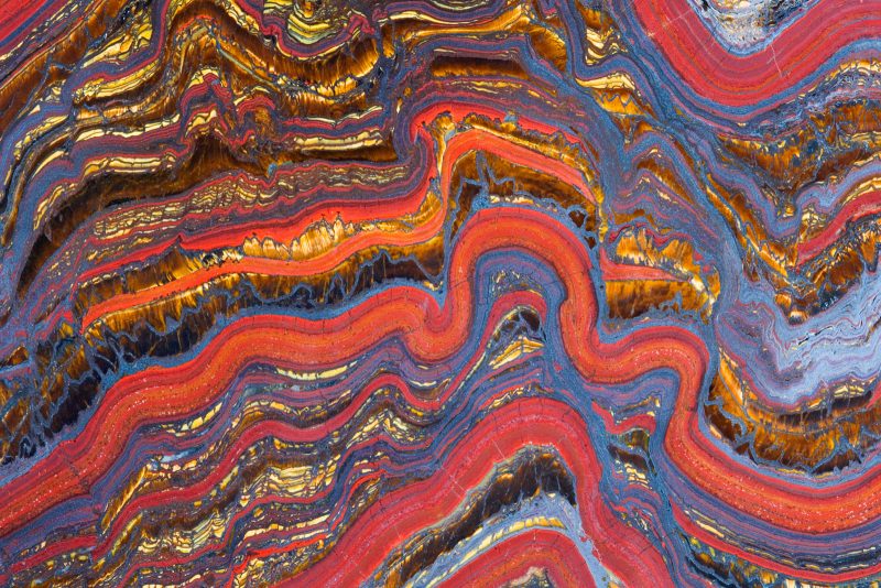 Frans Lanting Studio | LIFE: A Journey Through Time