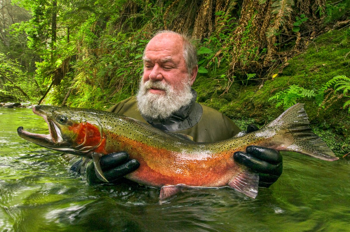 Frans Lanting | Home