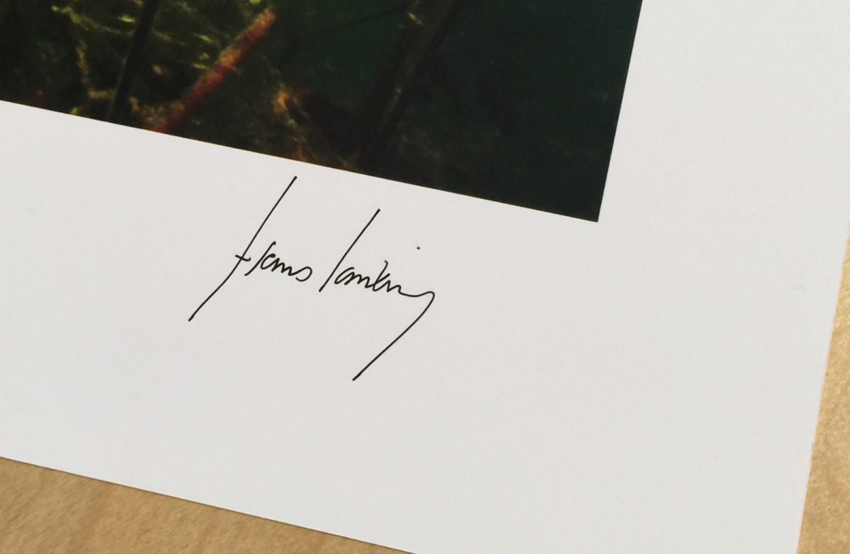 Frans Lanting Studio | Prints