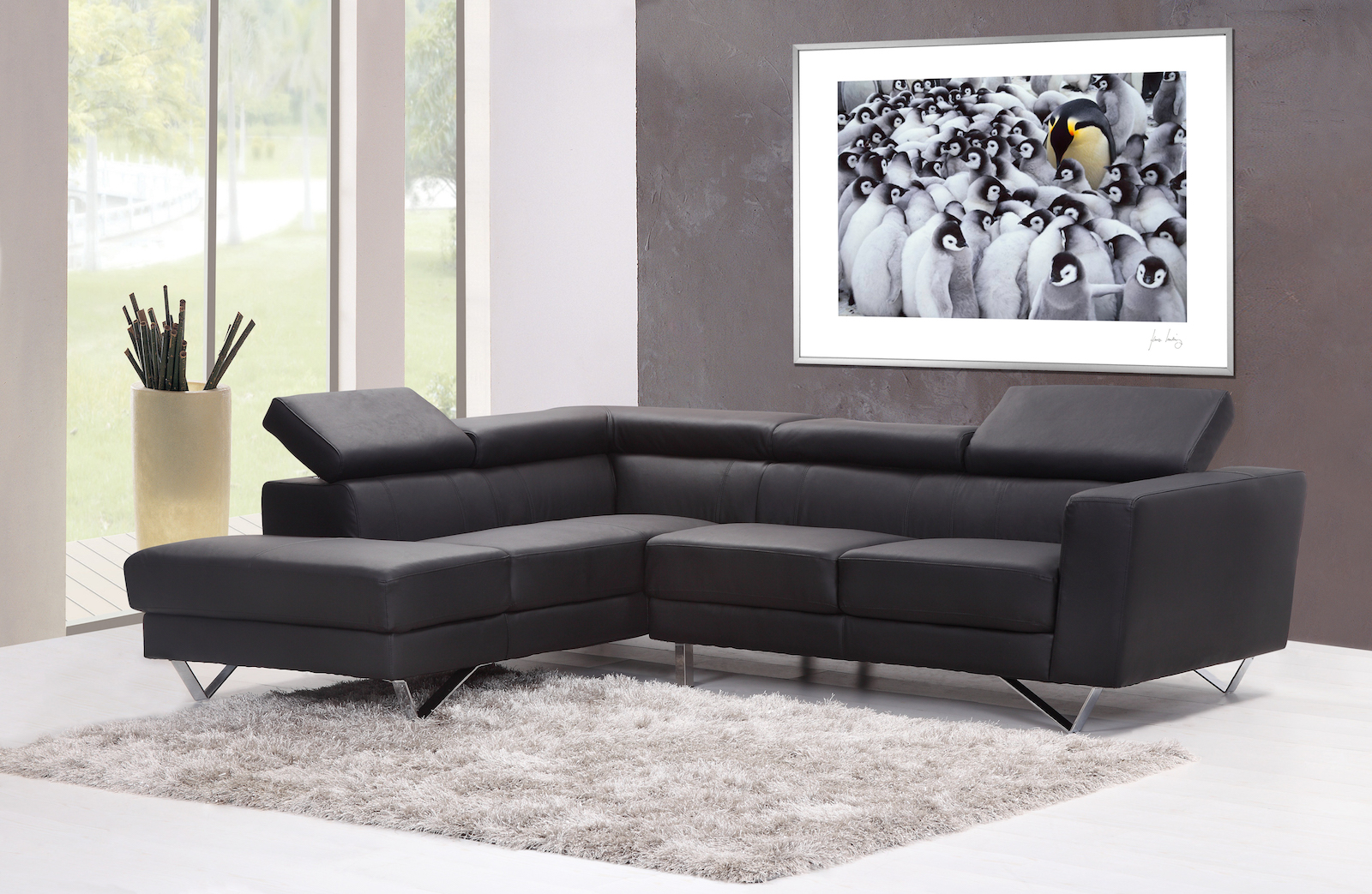 Frans Lanting Studio | Prints