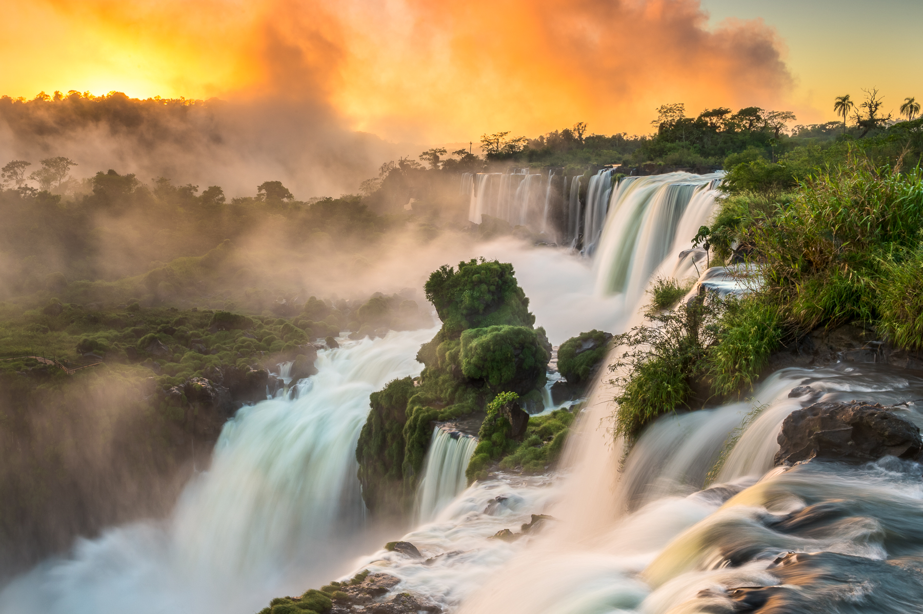 Frans Lanting | Home