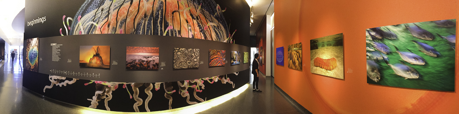 Frans Lanting Studio | About Frans Lanting