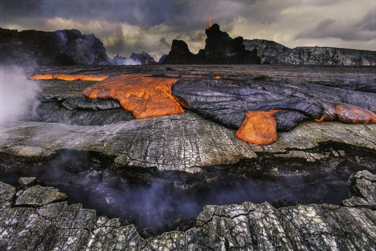 Frans Lanting Studio | LIFE: A Journey Through Time