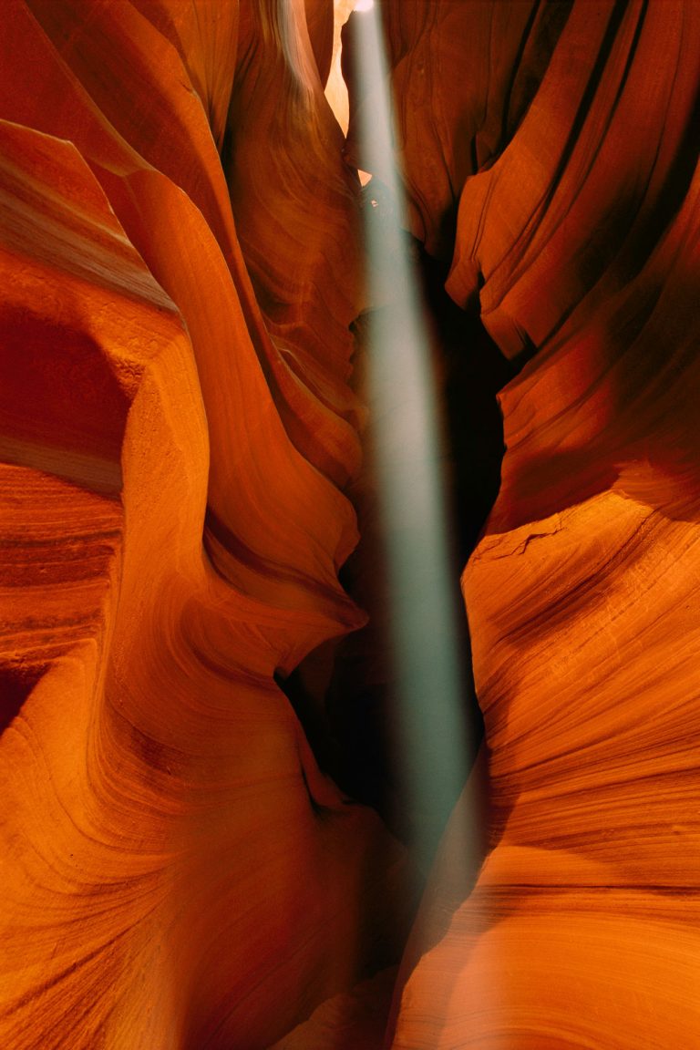 Frans Lanting Studio | Open Edition Prints