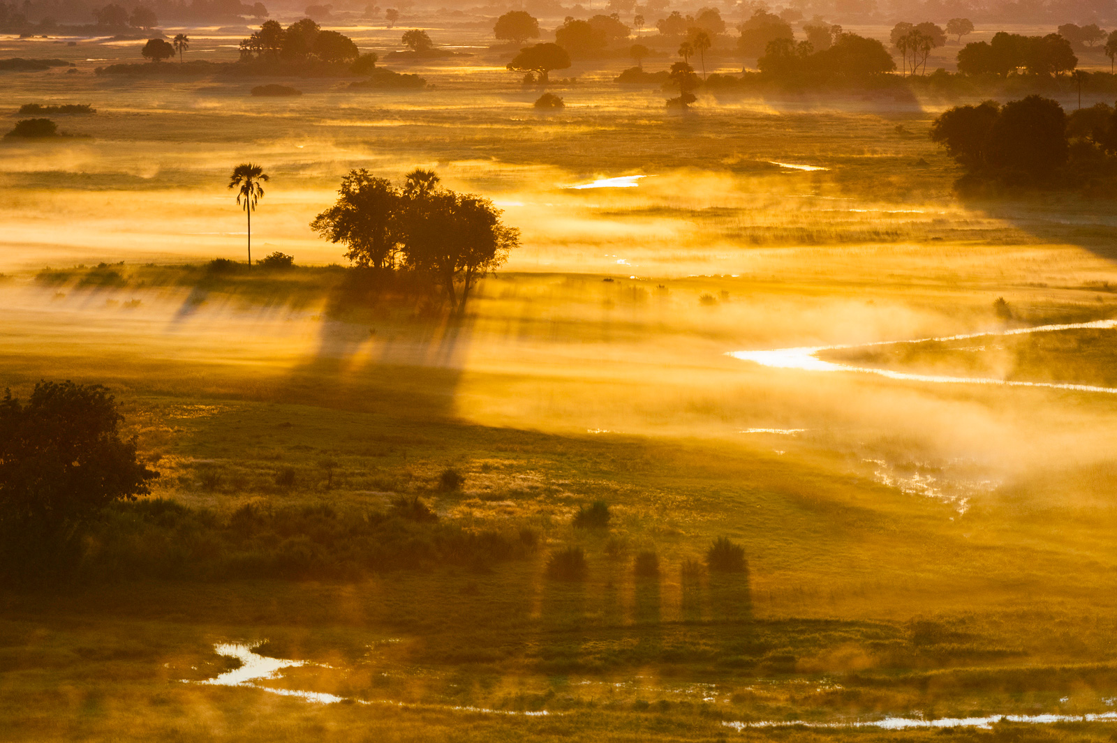 Frans Lanting Studio | Shop for Frans Lanting Prints and Books