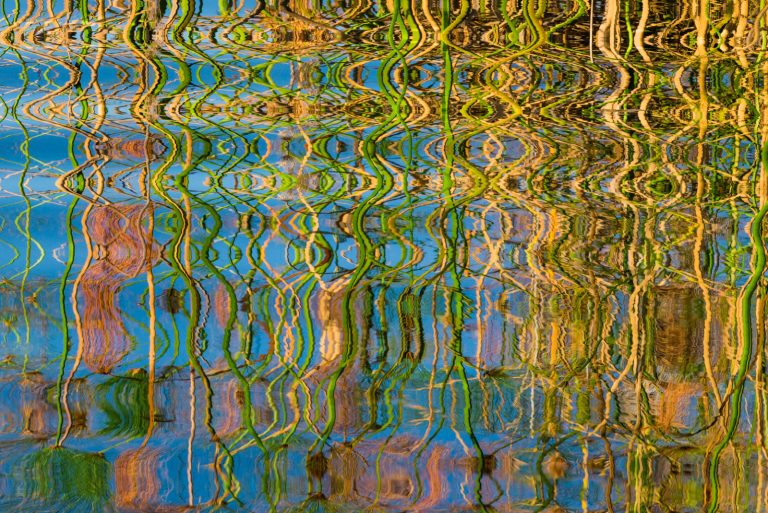 Frans Lanting Studio | Into Africa