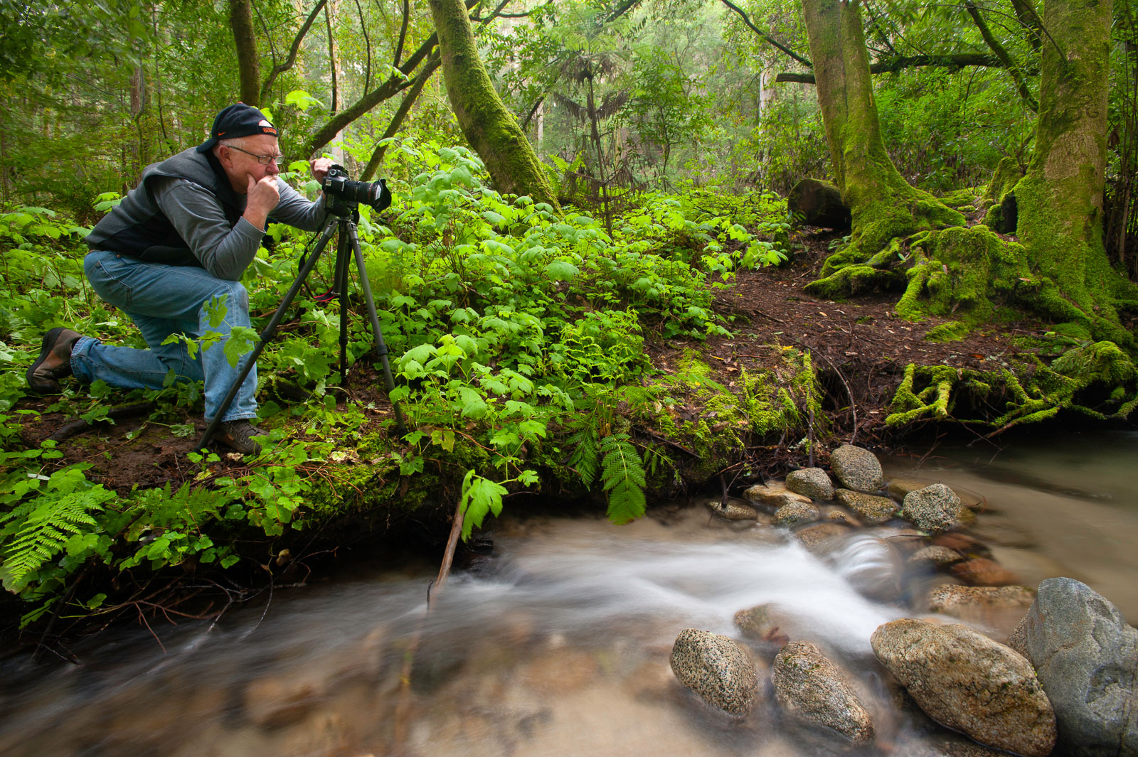 Frans Lanting Studio | Photography Workshops with Frans Lanting