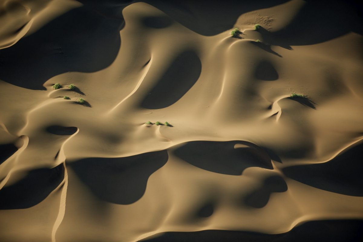 EARTH FROM ABOVE - Frans Lanting