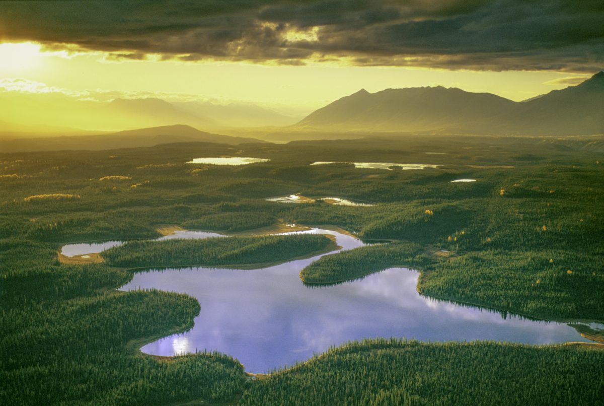 EARTH FROM ABOVE - Frans Lanting