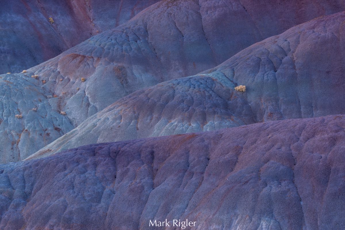 Frans Lanting Photo Tours I Utah 2023