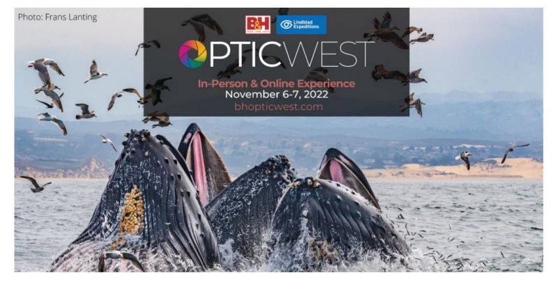 Frans Lanting Studio | News