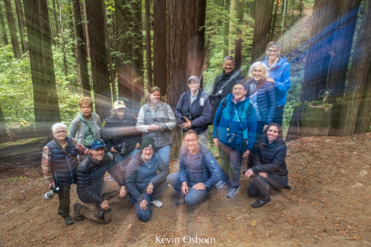 Frans Lanting Studio | News