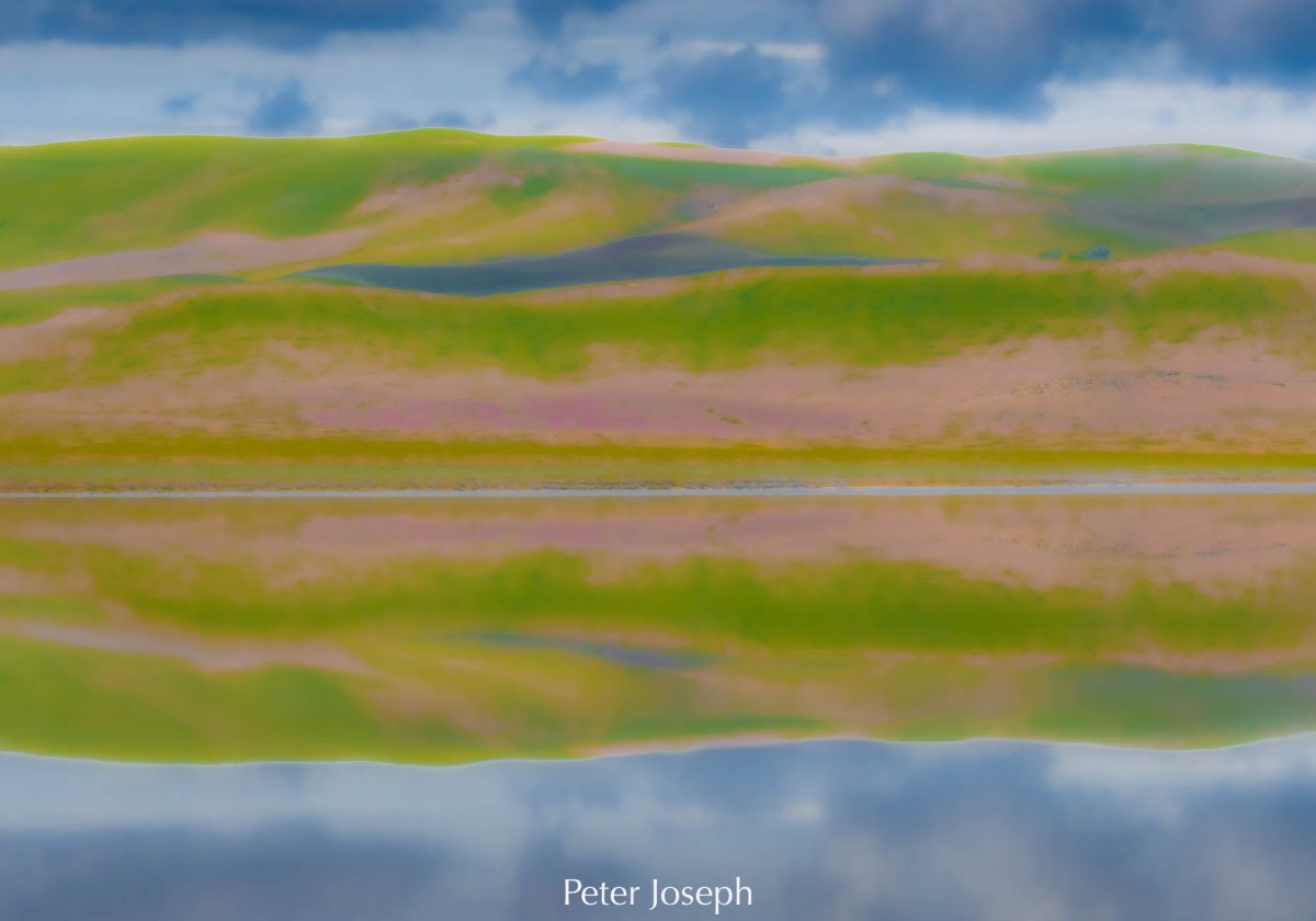 Frans Lanting Workshops I Superbloom 2023 Participant Images