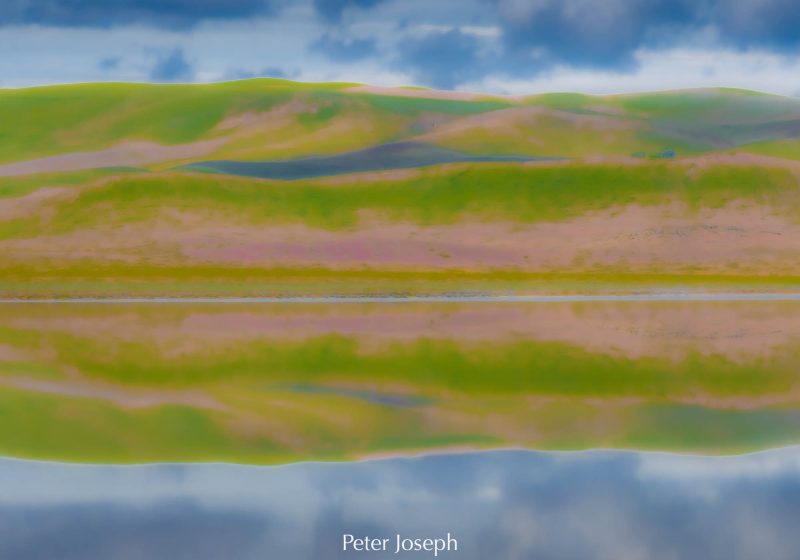 Frans Lanting Workshops I Superbloom 2023 Participant Images